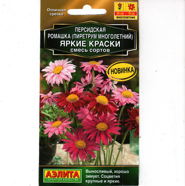 Пиретрум, Пиретрумы Аэлита многолетник_1_разноцветный_Яркие краски ...