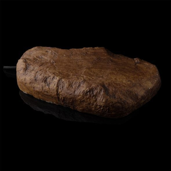 Греющий камень Exo-Terra Heat Wave Rock, 15Вт - купить с доставкой по ...
