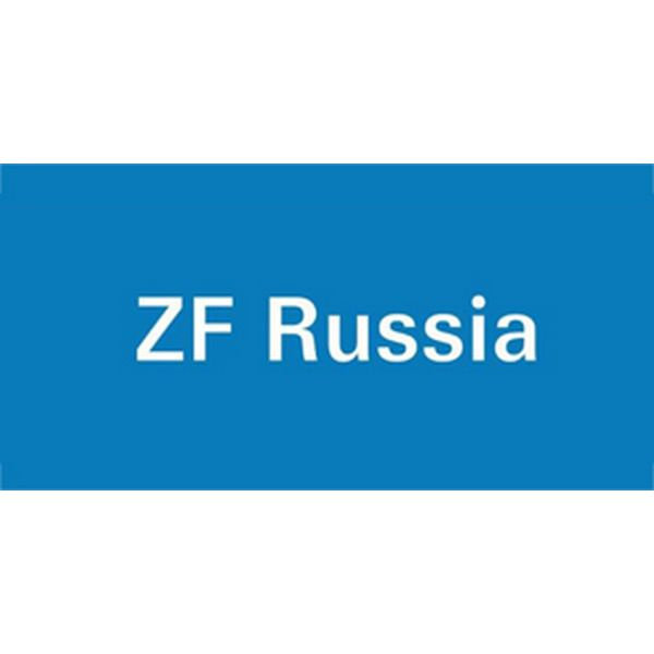 Колодки тормозные ZF Russia GDB1869 ZFR - купить по низким ценам в ...