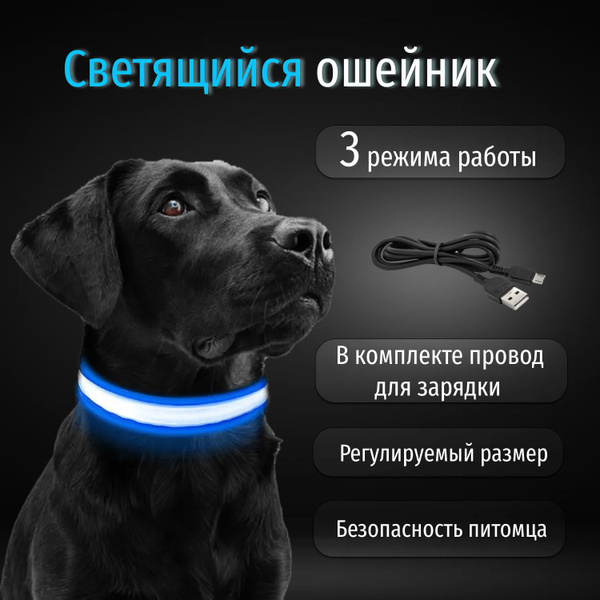 Ошейник для собак / Светящийся ошейник для собак / usb - купить с ...