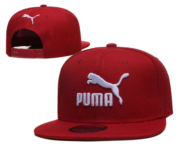 Бейсболка PUMA PUMA 5 Panel Cap купить на OZON по низкой цене (1317740518)