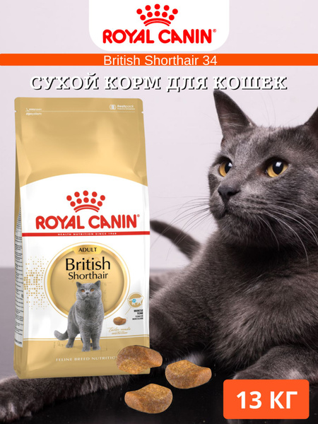 Сухой корм для кошек Royal Canin 34 British Shorthair PRO 13кг - купить ...