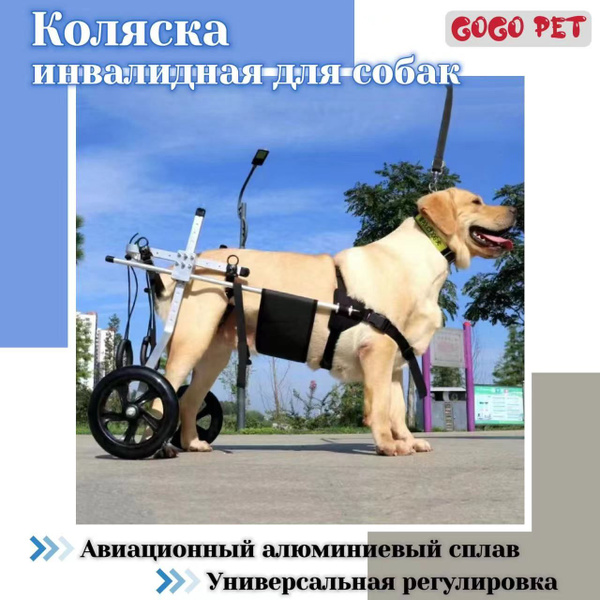 Инвалидная коляска для собак для задних лап, для крупных пород(35-60 кг ...