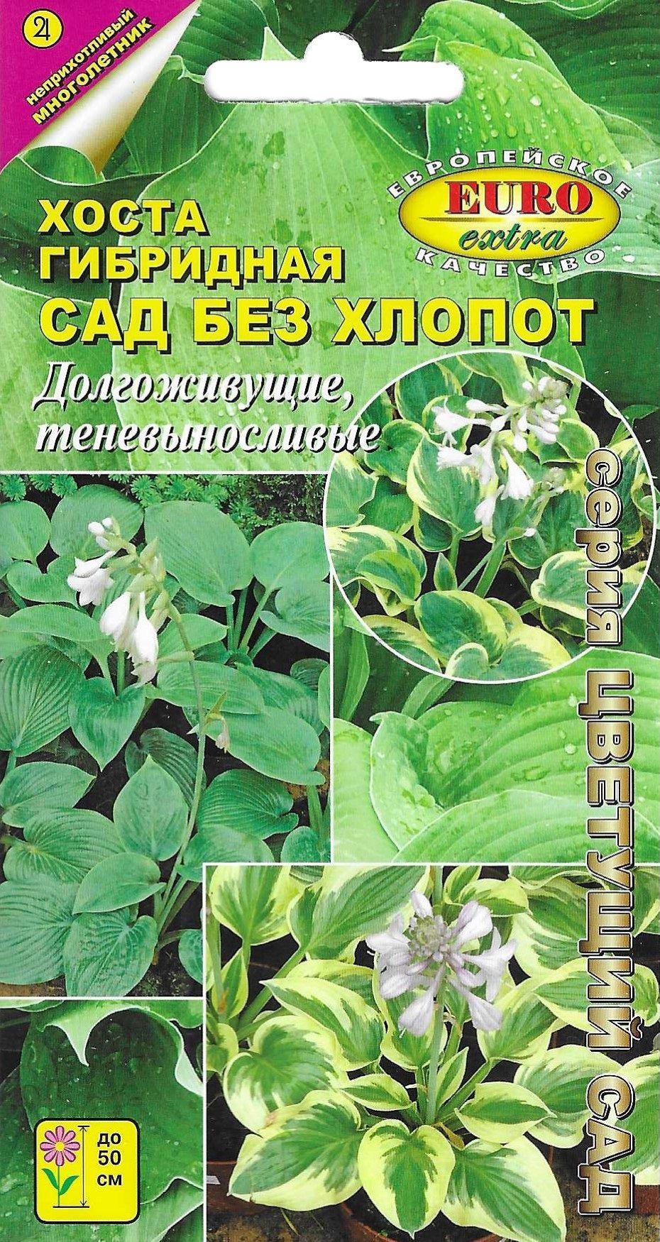 Хосты купить на OZON по низкой цене