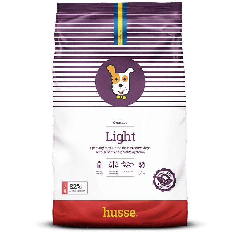 Are Dogs Sensitive To Light