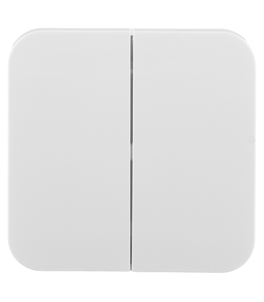 Выключатель Schneider Electric Blanca BLNVA105011 двухклавишный ...
