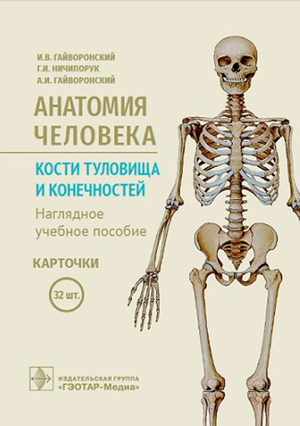 Карточки Анатомия человека. Кости туловища и конечностей. Наглядное ...