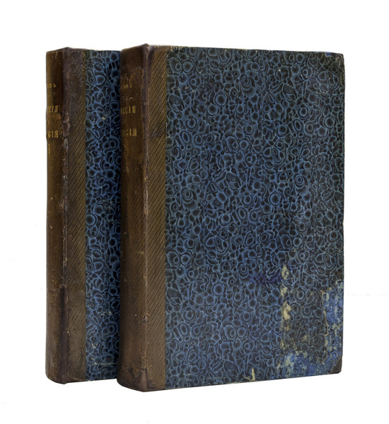 Россия и Сербия. Исторический очерк русского покровительства Сербии с 1806 по 1856 год. В 2-х ч ...