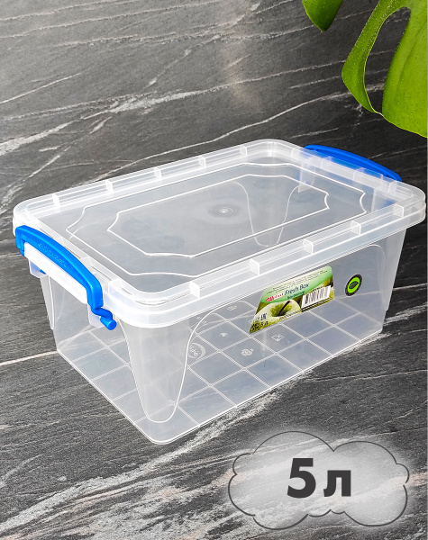 Контейнер пищевой Elfplast, 308х205х135, объем 5000 мл - купить по выгодной цене в интернет ...