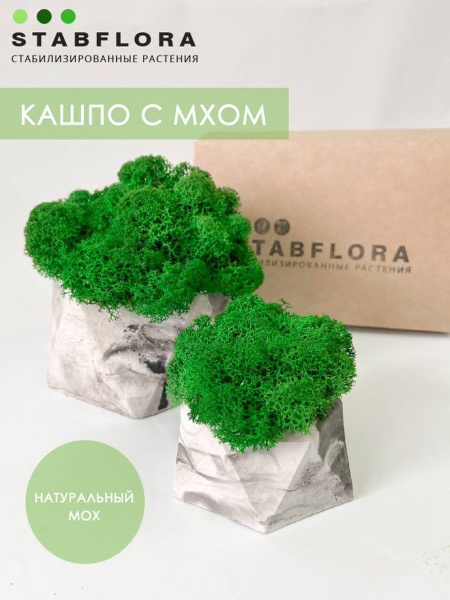 Стабилизированные цветы Stabflora Мох, 7 см, 380 гр купить по выгодной ...