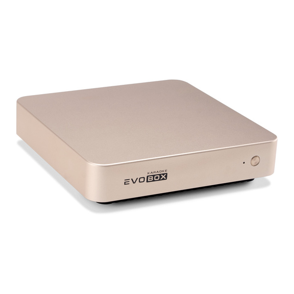 Караоке-система Evolution EvoBox (Золото / EvoBox) - купить с доставкой по выгодным ценам в ...