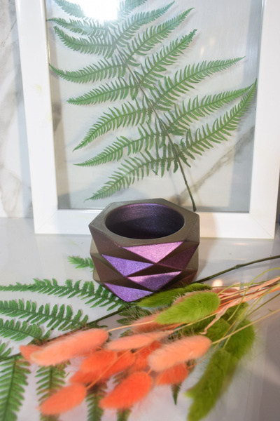 Кашпо, хамелеон-фиолетовый, 5.5 см х 10 см х 10 см, 0.13 л, 1 шт ...