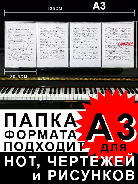 Большая папка А3 для нот и чертежей - купить с доставкой по выгодным ...