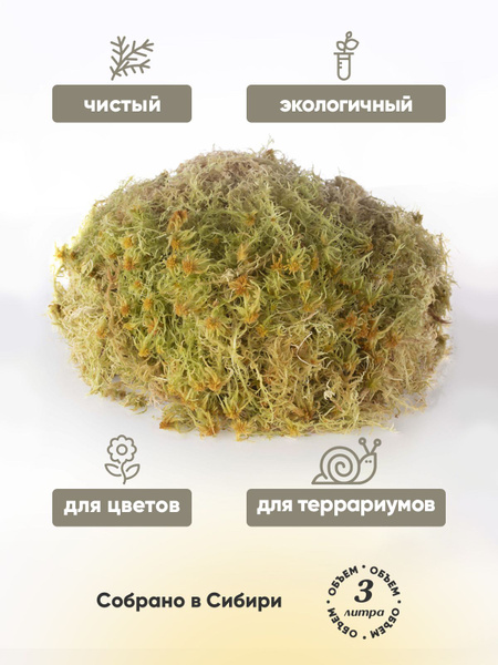 Мох сфагнум 3 л - купить по низкой цене в интернет-магазине OZON ...