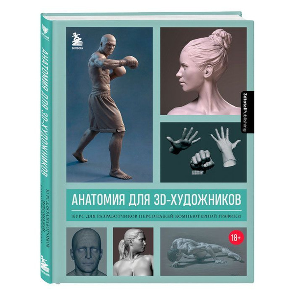 Анатомия для 3D-художников. Курс для разработчиков персонажей компьютерной графики | 3dtotal ...