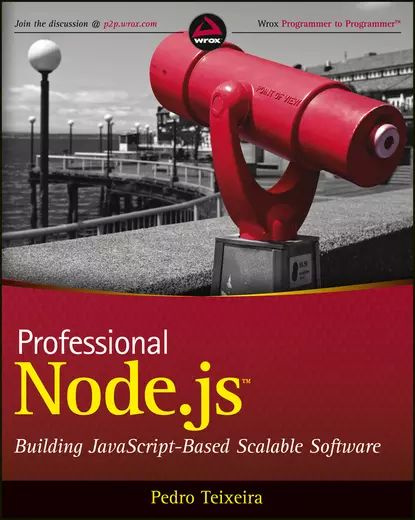 Professional Node Js Building Javascript Based Scalable Software Teixeira Pedro Электронная
