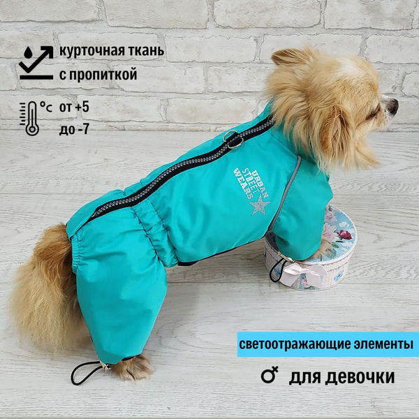 Комбинезон демисезонный для собаки (для девочки) "Dilai" STAR ...