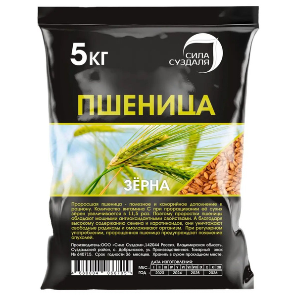 Пшеница для проращивания, микрозелени, муки - 5 кг. - купить с ...