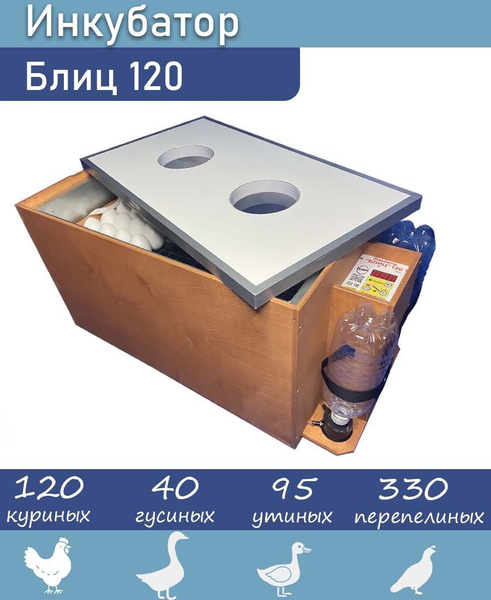 Инкубатор Блиц для 120 куриных яиц, автоматический переворот, домашний ...