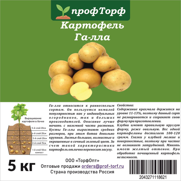 Картофель Картофель семенной "Гала" - купить по выгодным ценам в ...