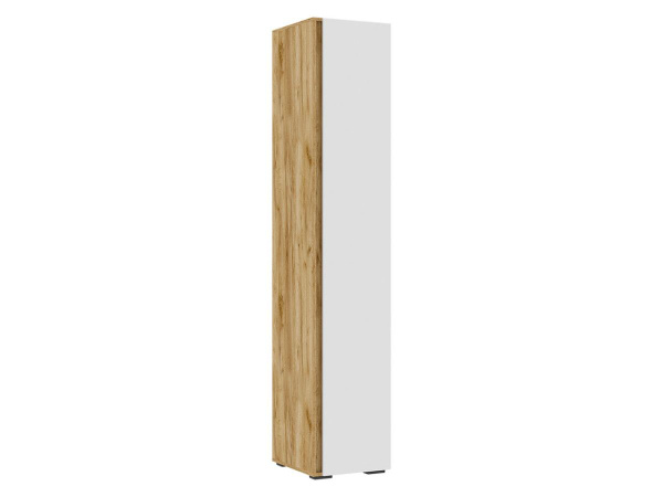 Шкаф распашной МФ Стендмебель Ирэн 51073, 40x46x210 см - купить по ...