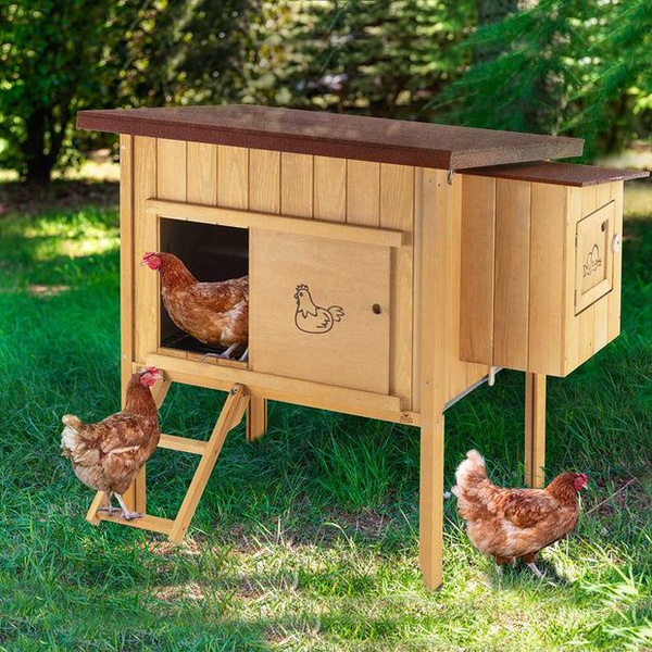Деревянный домик для кур HEN HOUSE 10 - купить с доставкой по выгодным ...