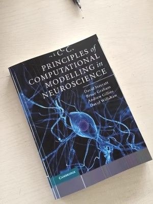 Учебники Principles of Computational Modelling in Neuroscience купить ...