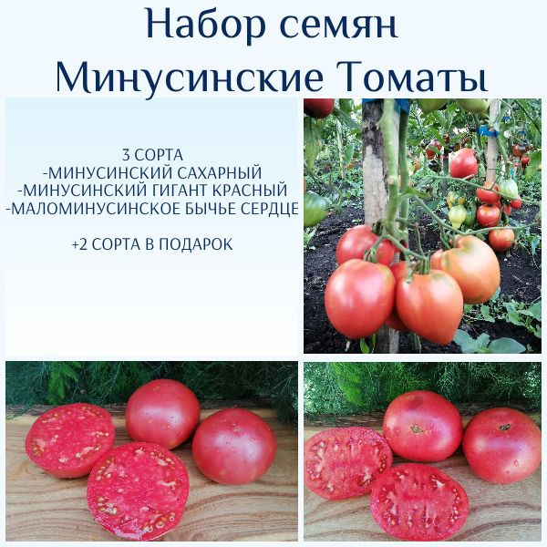Томаты томатов - купить по выгодным ценам в интернет-магазине OZON ...