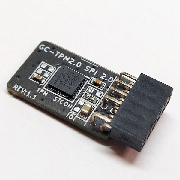 Модуль TPM 2.0 GIGABYTE GC-TPM2.0 SPI 2.0 (12-1 рin) купить на OZON по ...