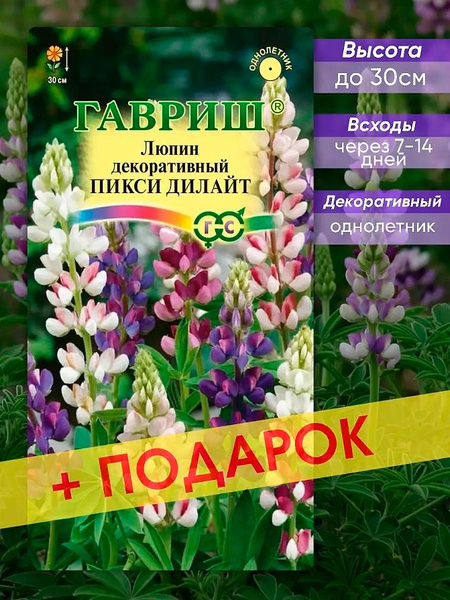 Люпин Гавриш Люпин ЦС_Люпин Пикси Дилайт - купить по выгодным ценам в ...