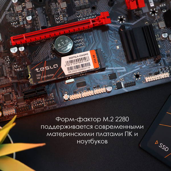 256 ГБ Внутренний SSD-диск TESLA M.2 NVMe._TESLA M.2 NVMe (SSDTSLA ...