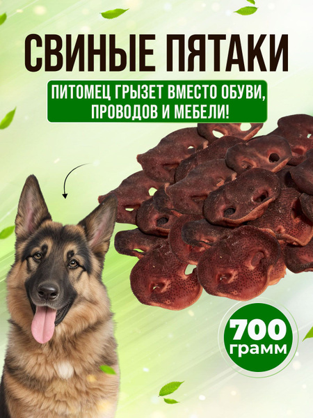 Пятачки свиные пятаки деревенские лакомства для собак долгоиграющие для ...