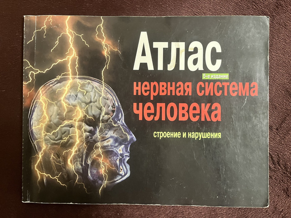 Атлас нервная система человека. Строение и нарушения Астапов В ...