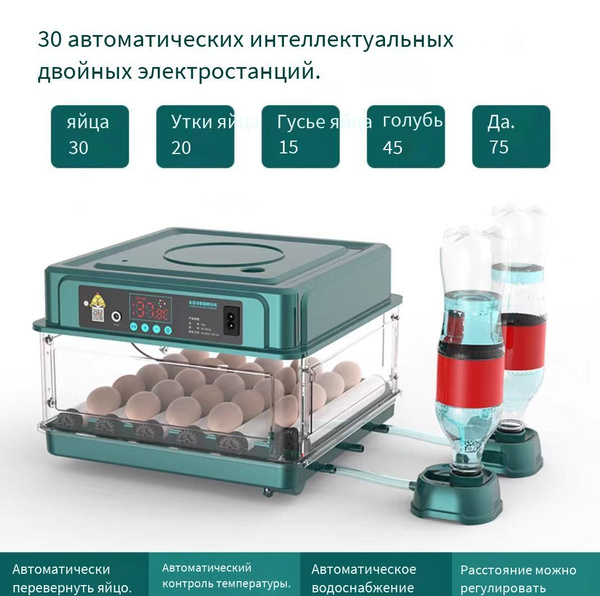Инкубатор для яиц 30 Инкубатор-null - купить с доставкой по выгодным ...
