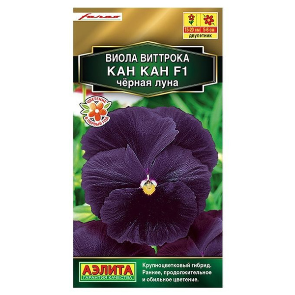 Виолы, анютины глазки Аэлита 00-00002827_черный - купить по выгодным ...