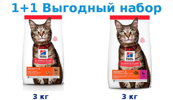 Сухой корм Взрослые, Hills Science Plan Adult Lamb ягненок 3 кг ...