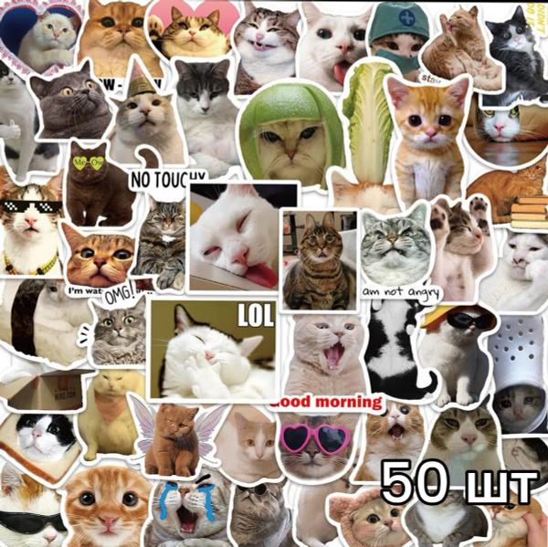 Наклейки "Мемные коты" 50 шт. в наборе. Стикерпак с котами. Стикеры ...