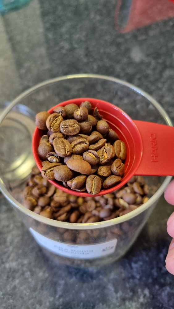 Кофе в зернах Alta Roma Blend №1 Бразилия 1 кг - купить с доставкой по ...