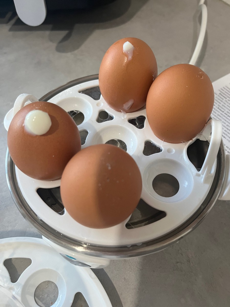 PAZZL Яйцеварка электрическая пароварка 5 в 1, ЗВУКОВОЙ СИГНАЛ - купить с доставкой по выгодным ...