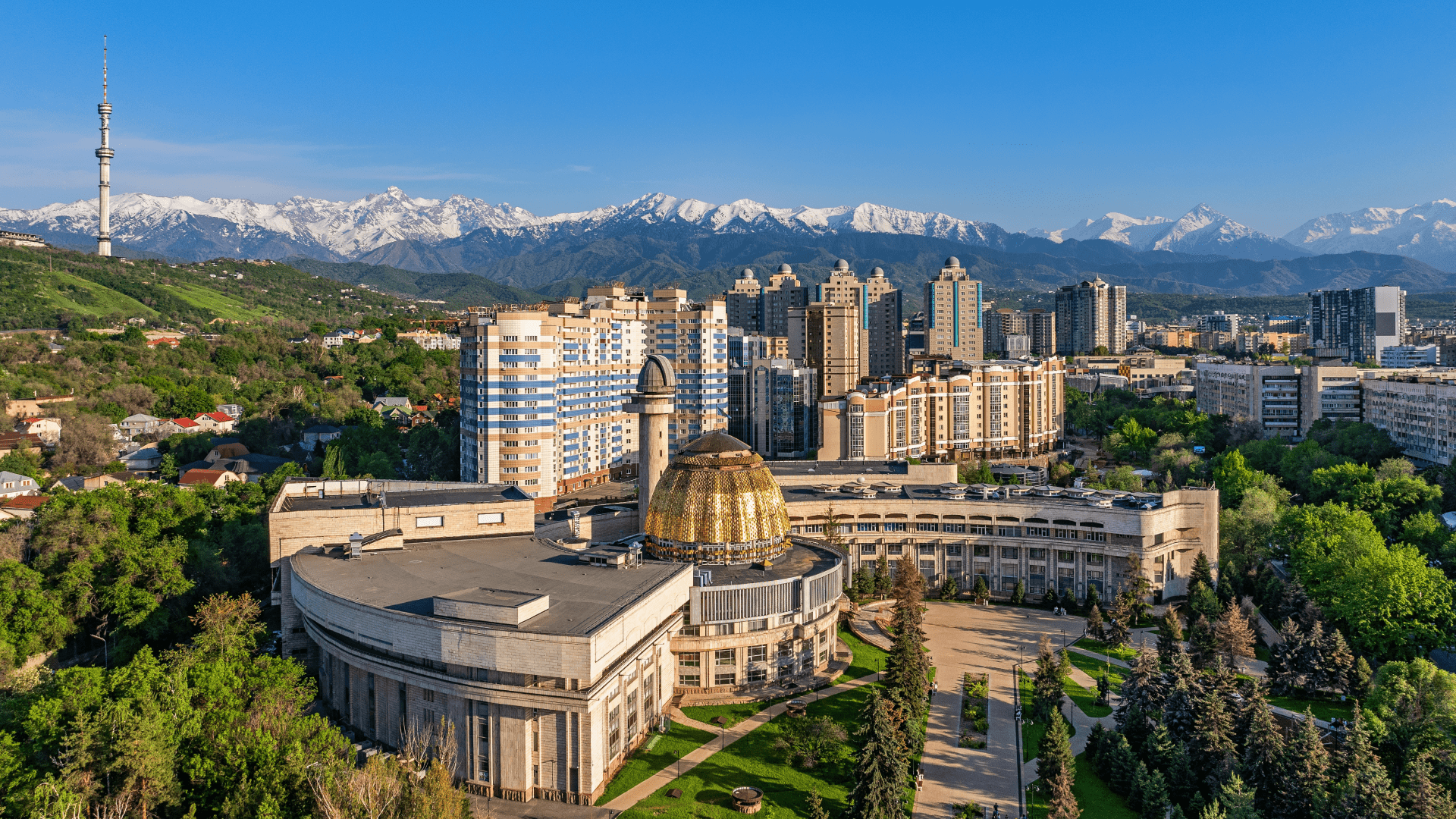 Семь причин начать продавать на Ozon Kazakhstan: регистрация, логистика и обучение — Бестселлер Ozon