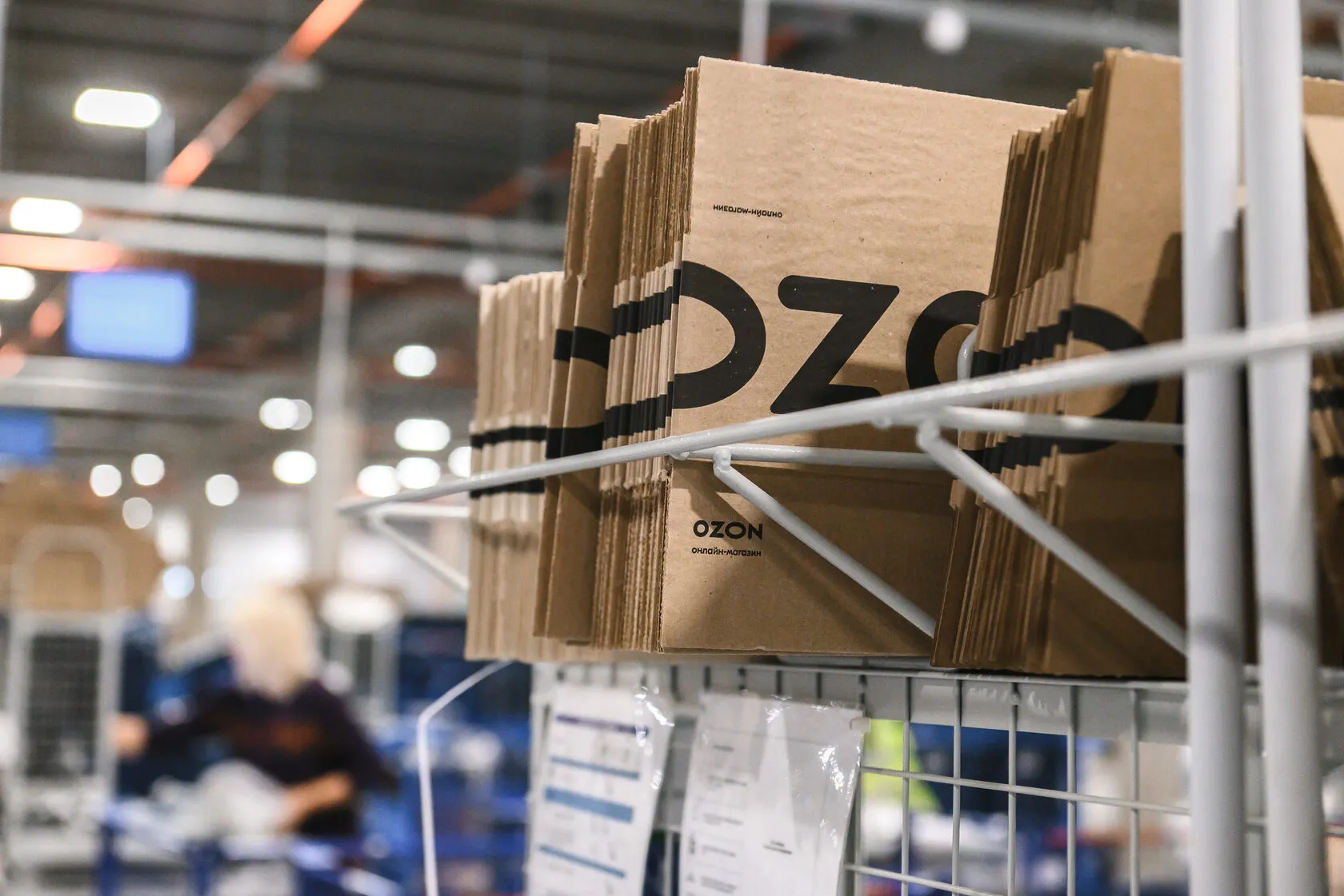 Ozon launches localized store in Kazakhstan